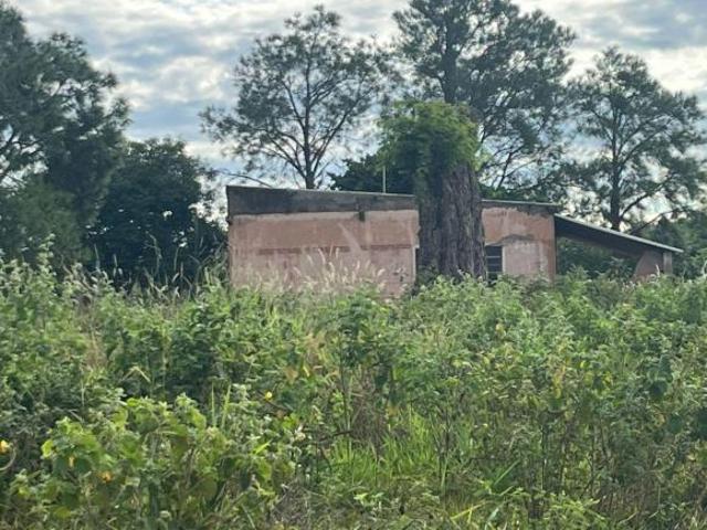 FAZENDA REGIÃO DE PRESIDENTE PRUDENTE