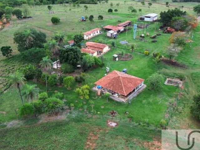 FAZENDA REGIÃO DO MONJOLO GO