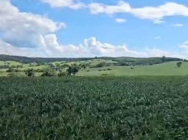 FAZENDA REGIÃO ITAPETININGA