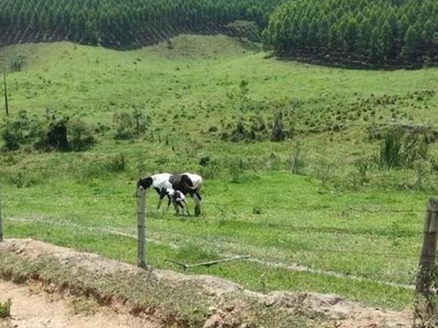 Fazenda Residencial em Paraibuna/SP  Oportunidade Única a 120 km de São Paulo!