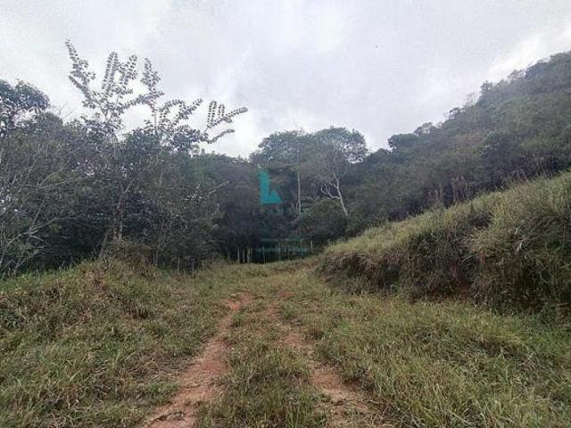 FAZENDA RICA EM ÁGUA E FORMADA Á VENDA EM GUARATINGUETÁ SP