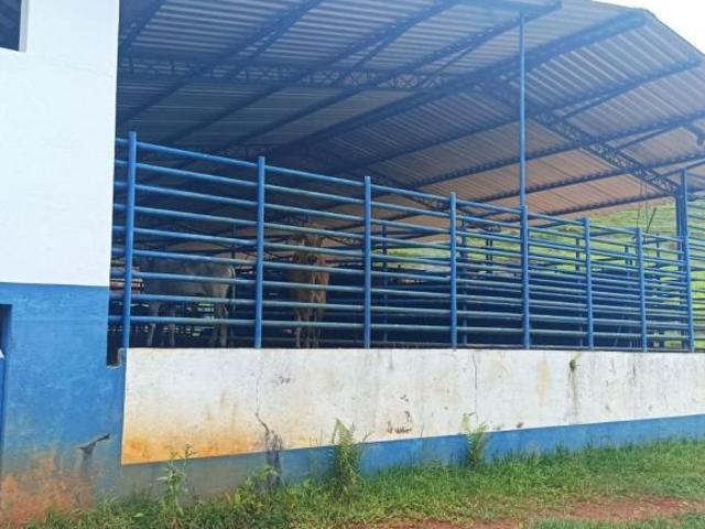 Fazenda Rica em Água Excelente para Gado de Corte em Paraibuna, SP SEU FUTURO EMPREENDIMENTO RUR