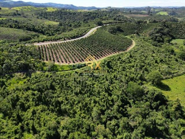 FAZENDA RIO PARDO | POÇOS DE CALDAS – MG