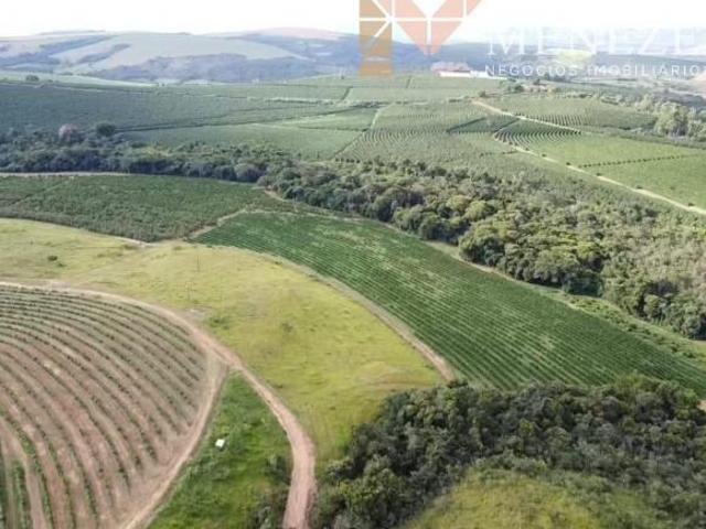 Fazenda Roseira à venda em Guapé/MG