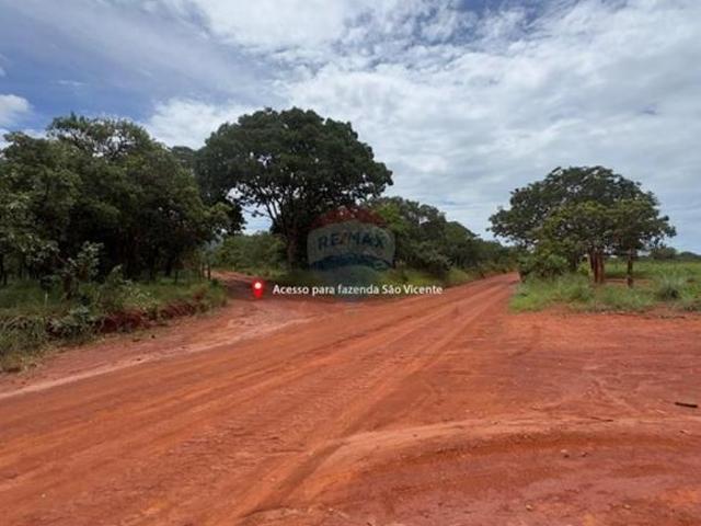 Fazenda São Vicente: 390,6 Hectares de Alto Potencial em Buritis MG – Solo Fértil e Localização Estr
