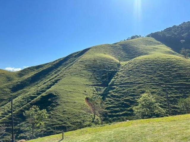 Fazenda São Francisco Xavier 456.000m²