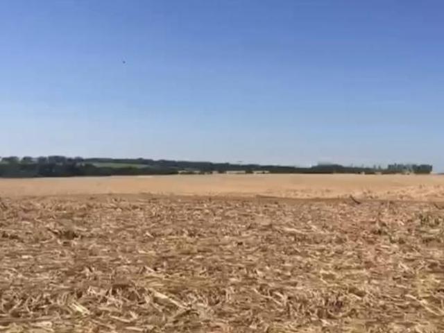 FAZENDA SÃO JOSÉ DO RIO PRETO