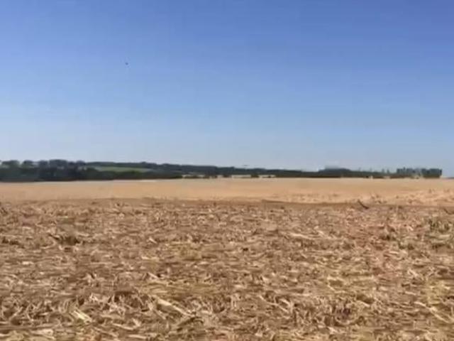 FAZENDA SÃO JOSÉ DO RIO PRETO
