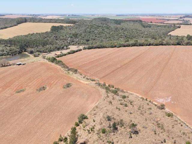 FAZENDA SÃO MIGUEL ARCANJO