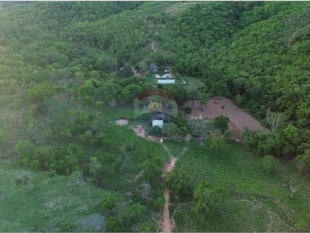 Fazenda São Miguel / Pindaíbas – Formosa GO