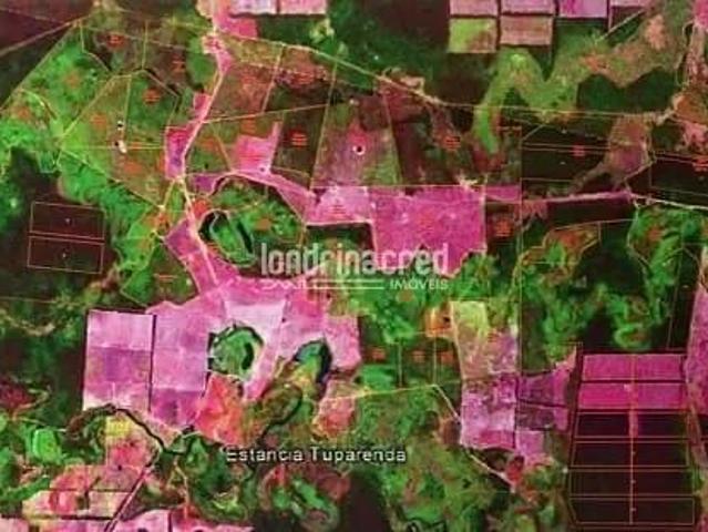Fazenda San Justino no Chaco Paraguaio com valor de 900 dólares por hectare, totalizando 12.289 hect