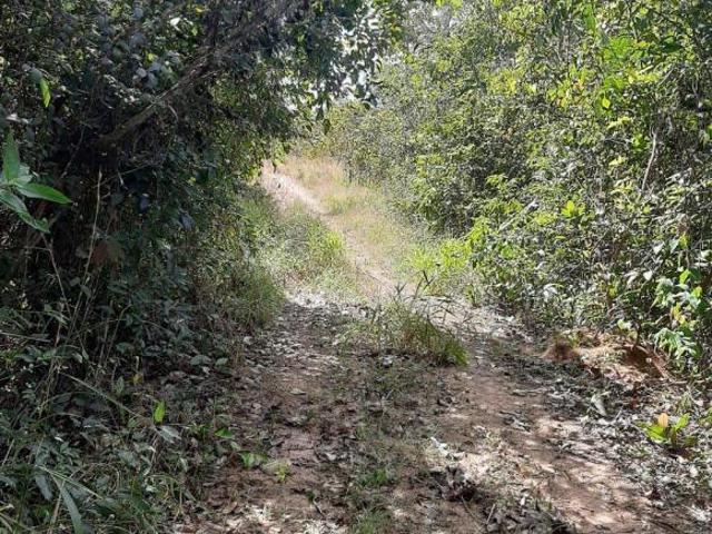 Fazenda Santa Rita do Trivelato