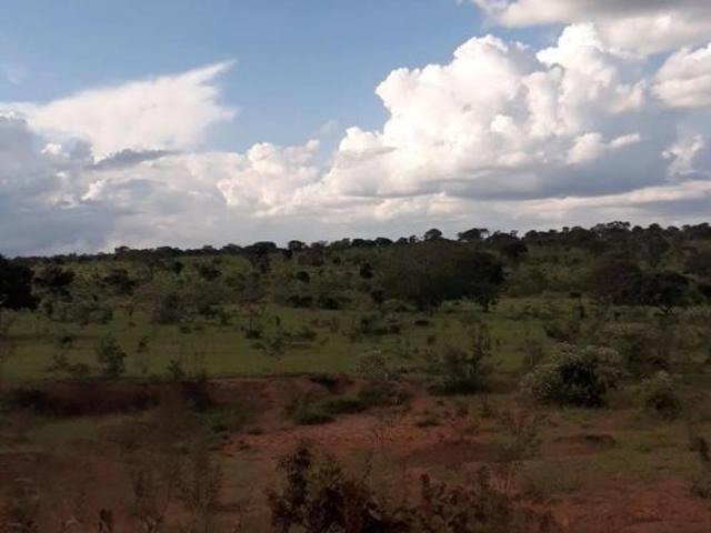 FAZENDA SANTO ANTONIO, 75 ALqueires, estudavtroca