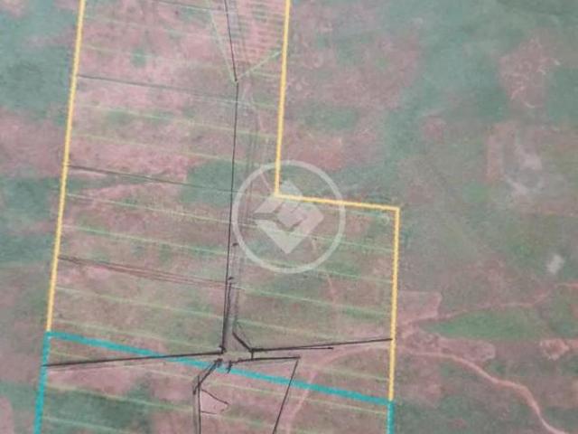 Fazenda, sentido cacéres, porteira fechada, com 35 vacas, 2 éguas, trator 265 com lamina, curral com