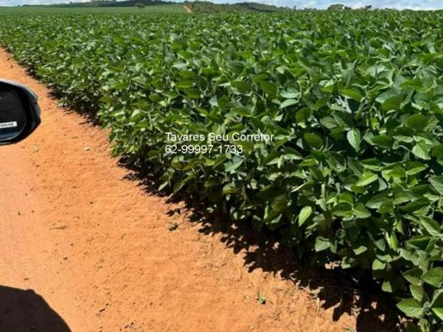 Fazenda, Setor Central, Anápolis, GO