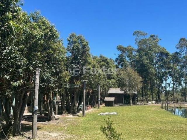 Fazenda / Sítio / Chácara, 3 dormitórios, 131.25 m², em Pinhal
