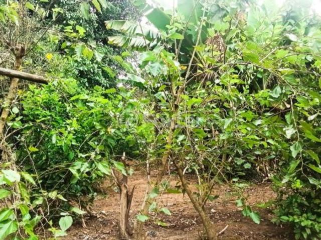 Fazenda / Sítio / Chácara, 3 dormitórios, 240 m², em Centro