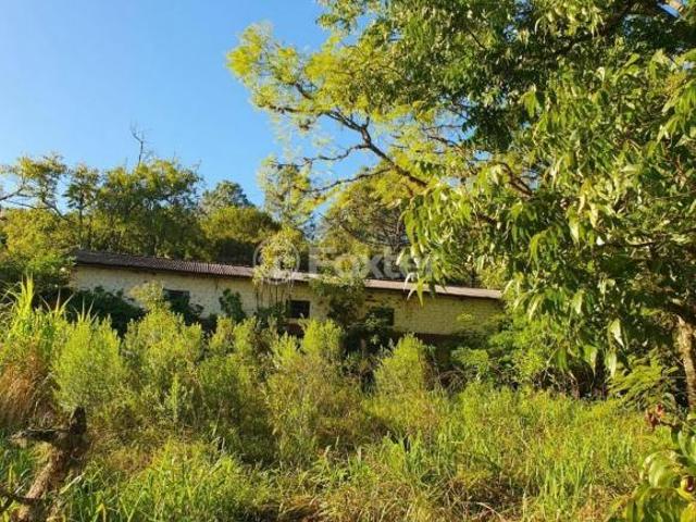 Fazenda / Sítio / Chácara, 3 dormitórios, 267 m², em Picada Verão