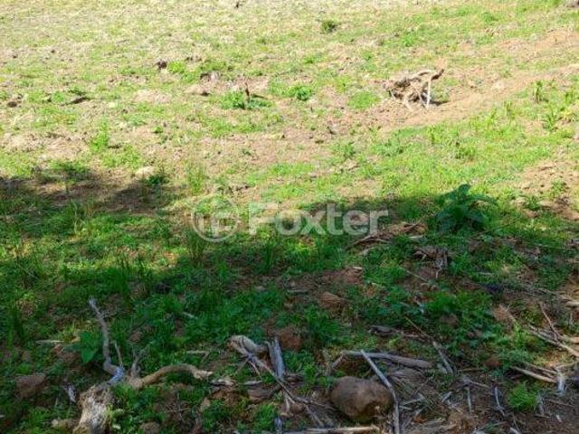 Fazenda / Sítio / Chácara, 114000 m², em Boa vista do Herval