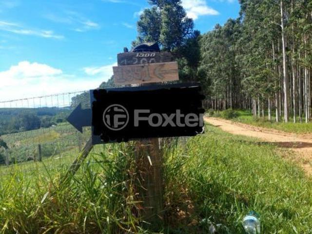Fazenda / Sítio / Chácara, 2 dormitórios, 12513.6 m², em Passo Fundo