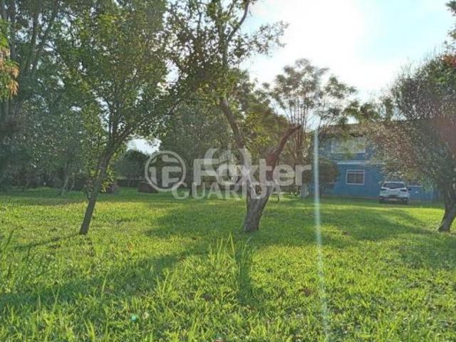 Fazenda / Sítio / Chácara, 2 dormitórios, 2000 m², em Lami