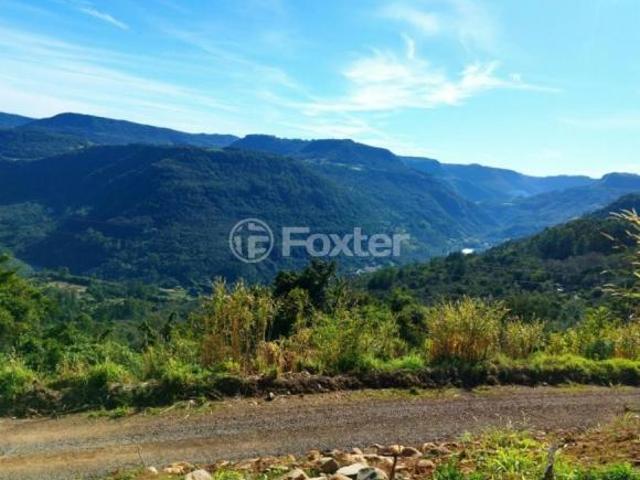 Fazenda / Sítio / Chácara, 30000 m², em Linha Brasil Fundos / Linha Riachuelo
