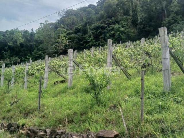 Fazenda / Sítio / Chácara, 30000 m², em Linha Café