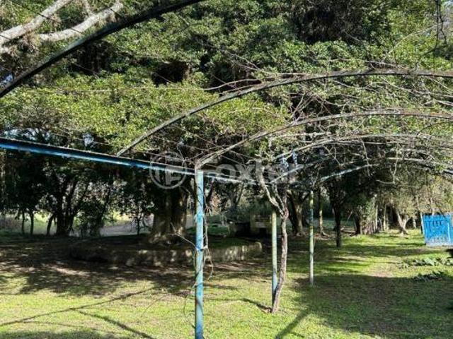 Fazenda / Sítio / Chácara, 7 dormitórios, 270 m², em Restinga