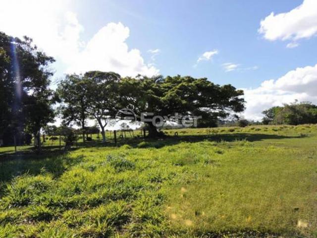 Fazenda / Sítio / Chácara, 4 dormitórios, 9829.64 m², em Águas Claras Distrito