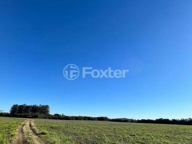 Fazenda / Sítio / Chácara, 585294 m², em Boa Vista do Sul