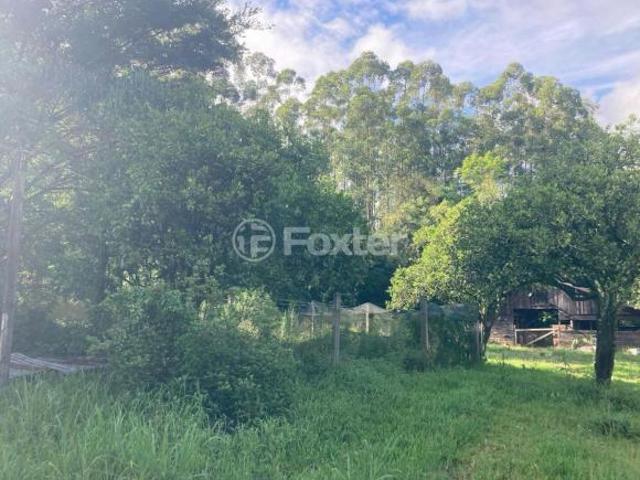 Fazenda / Sítio / Chácara, 5 dormitórios, 73142 m², em Jammerthal