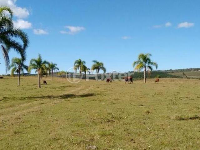 Fazenda / Sítio / Chácara, 5 dormitórios, 2500000 m², em Agronomia
