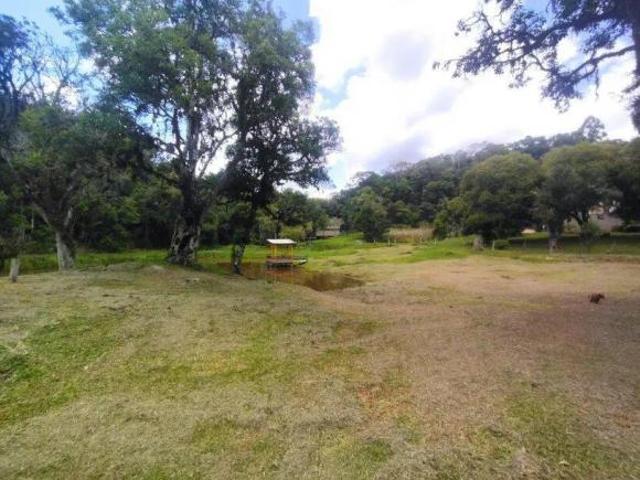 Fazenda / Sítio / Chácara com 3 Quartos à venda, 3