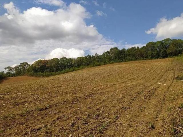 Fazenda / Sítio / Chácara à venda, 48400m² Pacot