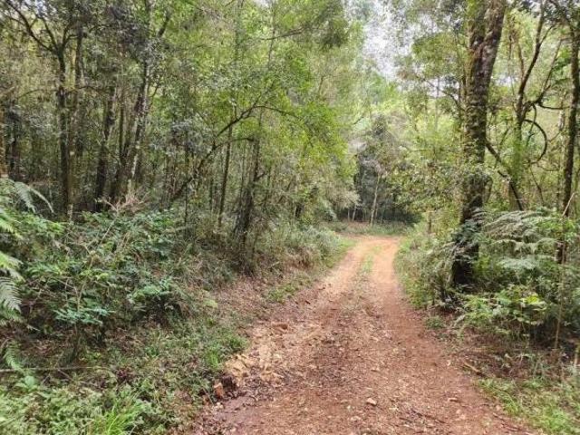 Fazenda / Sítio / Chácara à venda, 147620m² Marm