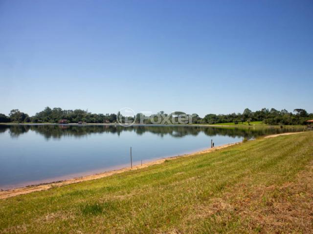 Fazenda / Sítio / Chácara em Águas Claras