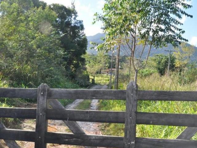 Fazenda Sítio Grande bairro Iririaia Cananéia / SP 294,64 alqueires
