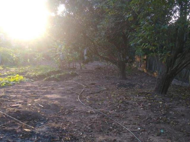 Fazenda / Sítio para venda em Colinas De Santa Izabel de 300.00m² com 3 Quartos, 1 Suite e 1 Garagem