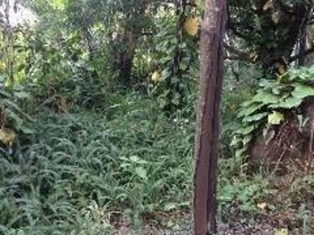 Fazenda / Sítio para venda em Colinas Do Mosteiro De Itaici de 780.00m² com 5 Quartos e 2 Suites
