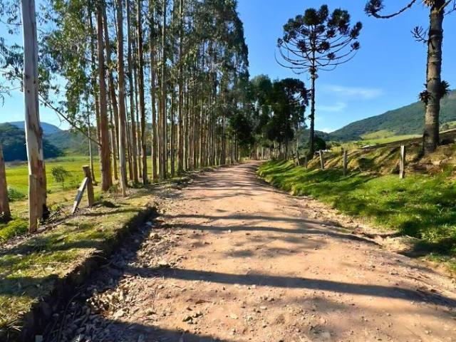 Fazenda / Sítio para venda em Colônia Murici em São José Dos Pinhais Paraná de 2178000.00m² com 7 Quartos