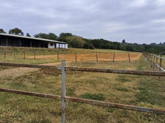 Fazenda / Sítio para venda em Conjunto Habitacional Antonio Hermínio Delevedove de 230.00m² com 3 Qu