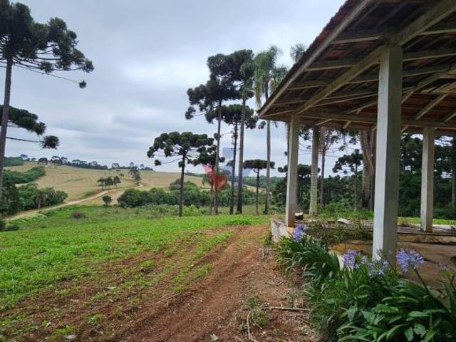 Fazenda / Sítio para venda em Contenda de 1694.00m² com 3 Quartos e 1 Garagem