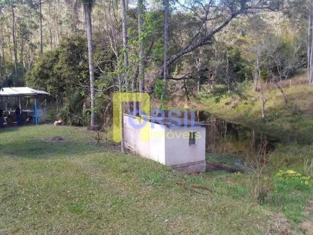 Fazenda / Sítio para venda em Cachoeirinha de 41954.00m² com 2 Quartos
