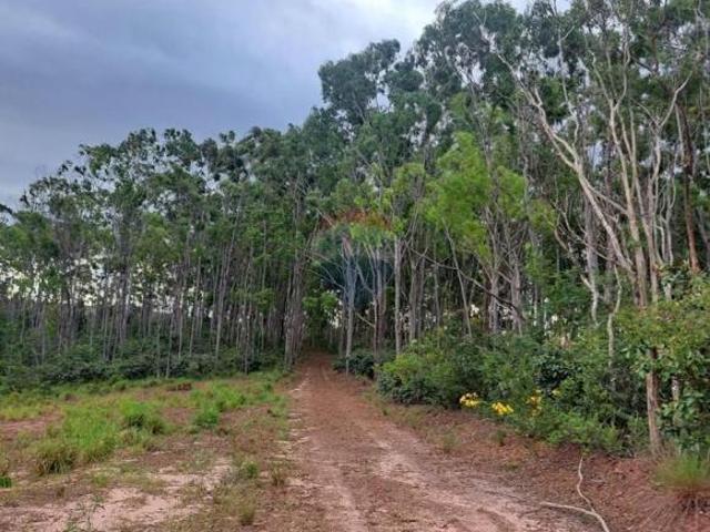 Fazenda / Sítio para venda em Cajuru de 6500000.00m² com 3 Quartos e 2 Suites
