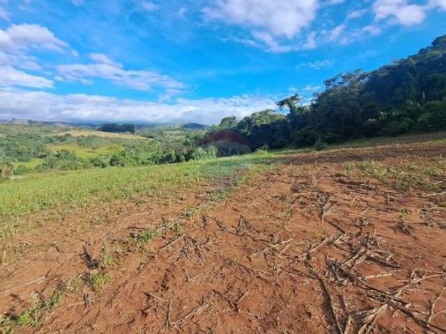 Fazenda / Sítio para venda em Cajuru de 6500000.00m² com 3 Quartos e 2 Suites