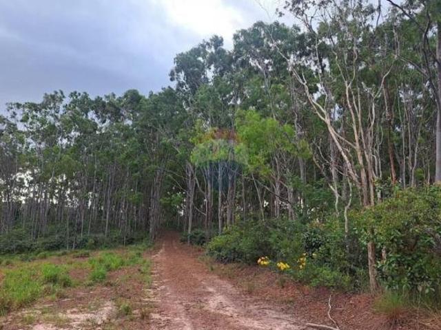 Fazenda / Sítio para venda em Cajuru de 6500000.00m² com 3 Quartos e 2 Suites