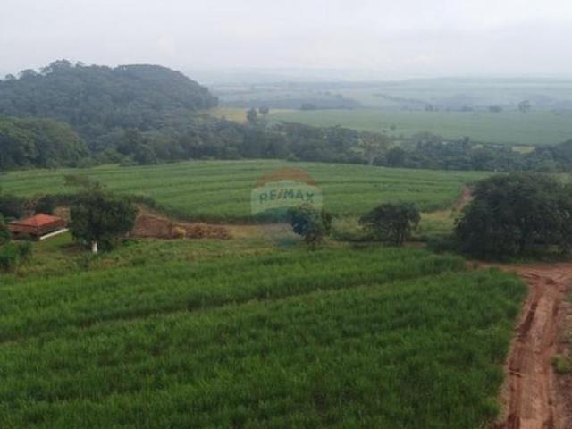 Fazenda / Sítio para venda em Centro de 163000.00m² com 3 Quartos