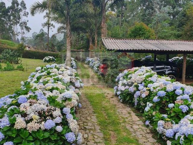 Fazenda / Sítio para venda em Centro de 17000.00m² com 3 Quartos, 1 Suite e 2 Garagens