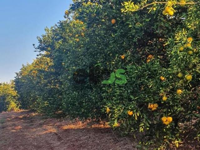 Fazenda / Sítio para venda em Centro de 22.00m² com 1 Quarto