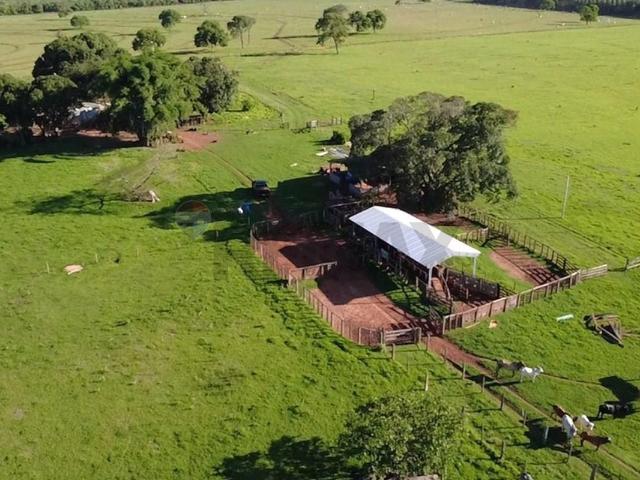 Fazenda / Sítio para venda em Centro em Brasilândia Mato Grosso do Sul de 3820000.00m² com 1 Quarto e 1 Suíte